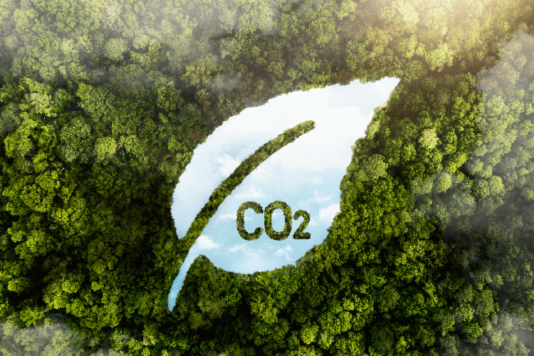 BharatChar - India's Premier Biochar Exporter | Sustainable Carbon ...